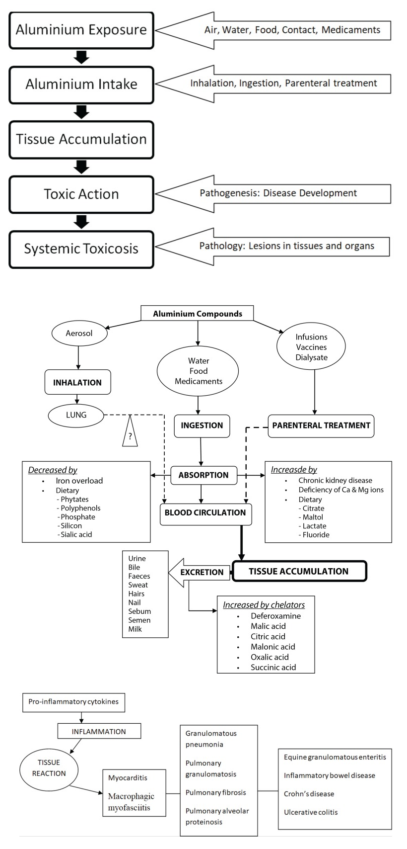 Aluminium toxicosis: a review of toxic actions and effects | Implante ...